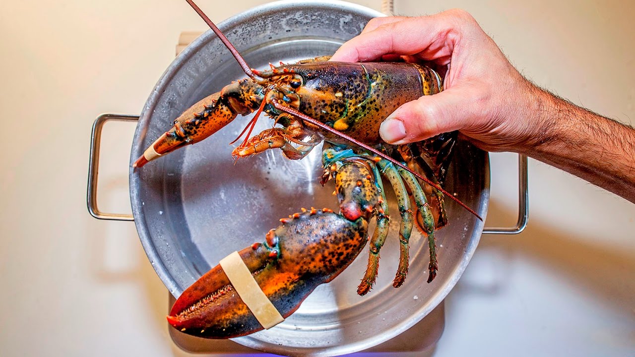 Consejos de Expertos para Cocinar Mariscos Perfectos