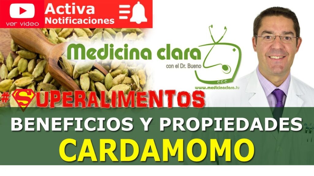 El Cardamomo: Origen, Usos, Beneficios y Mucho Más